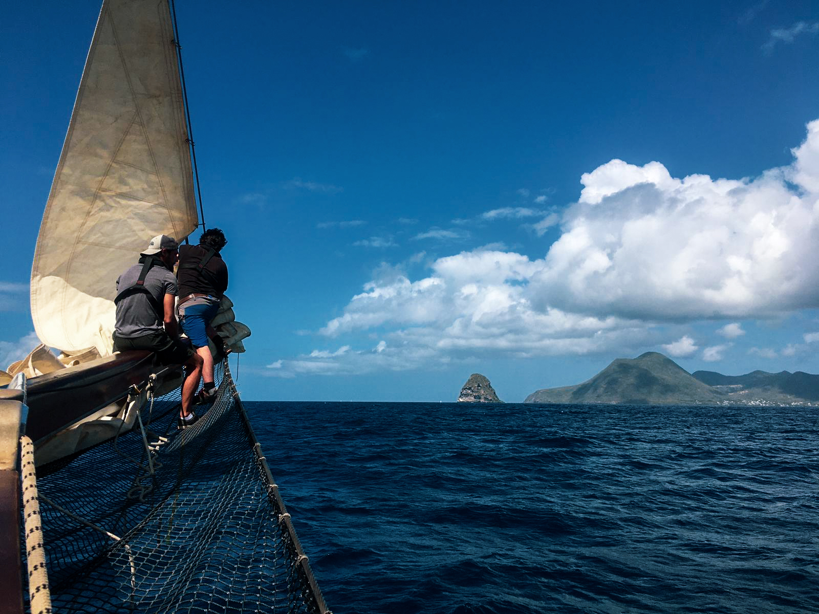 Through sargassum | Pacifique