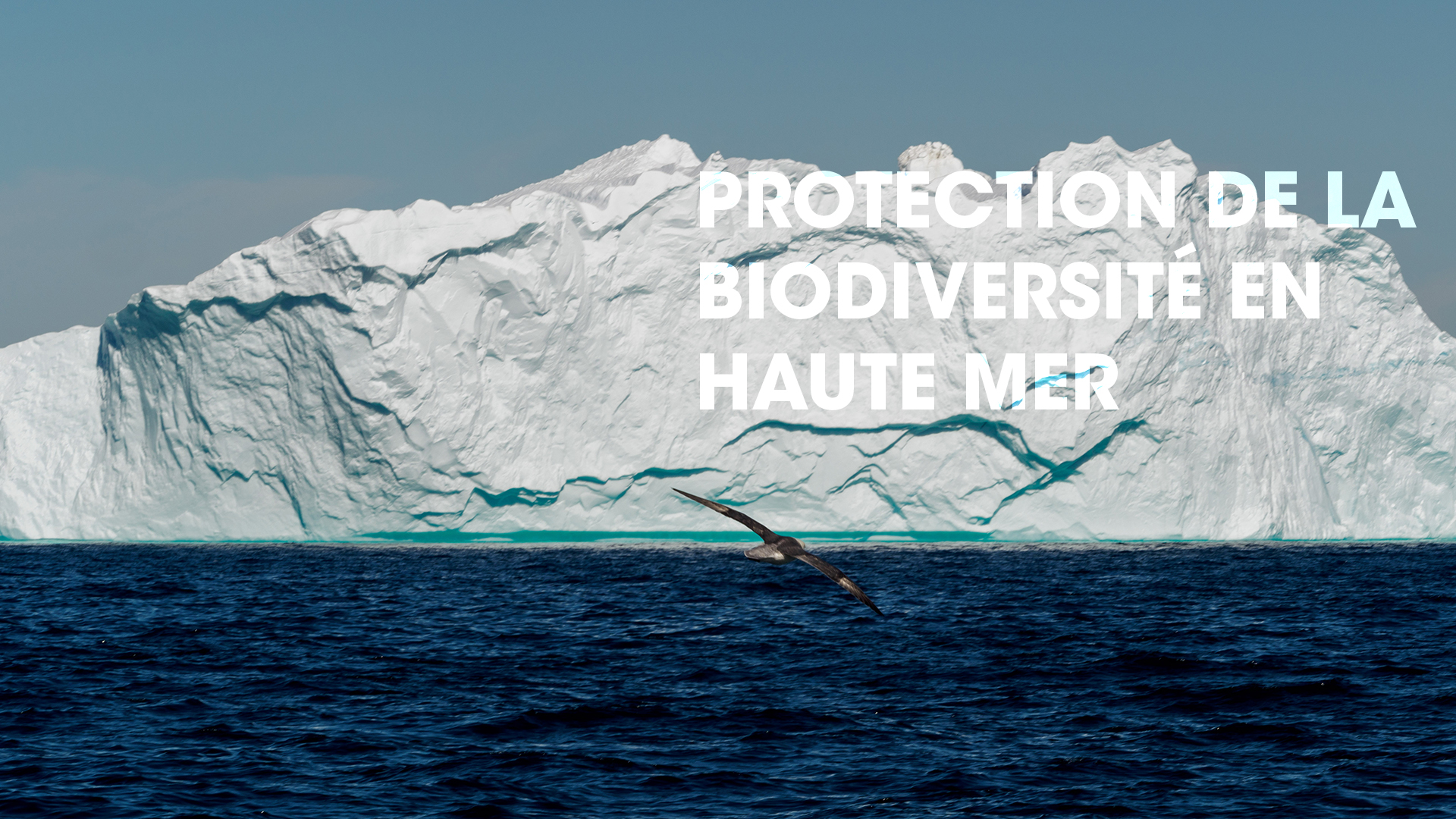 Historique : ONU s'accorde pour sur un traité pour les océans | Pacifique